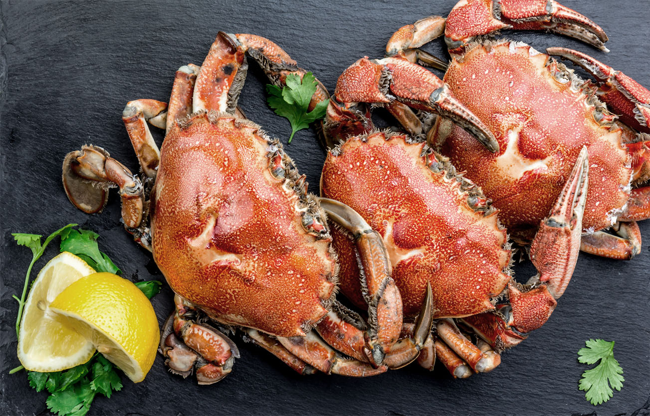 Hallmark Fisheries – The West Coast’s premium wholesale supplier of ...